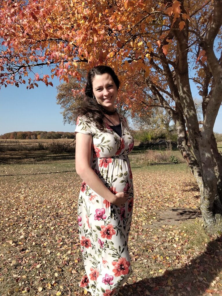 Modest Maternity Dresses for Pregnant and Nursing Moms: Affordable ...